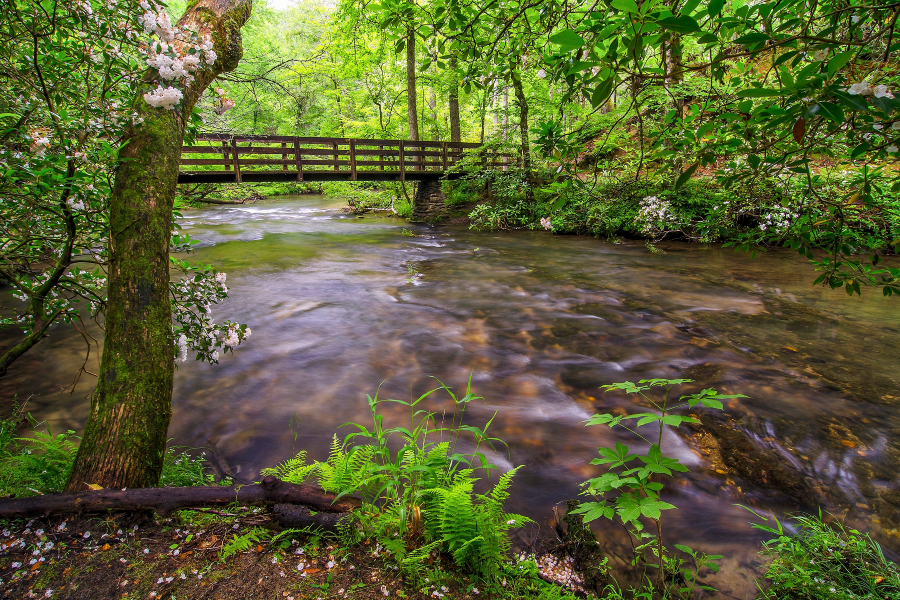 Veterinary Hospital for Sale in Madison County, Tennessee | PS Broker